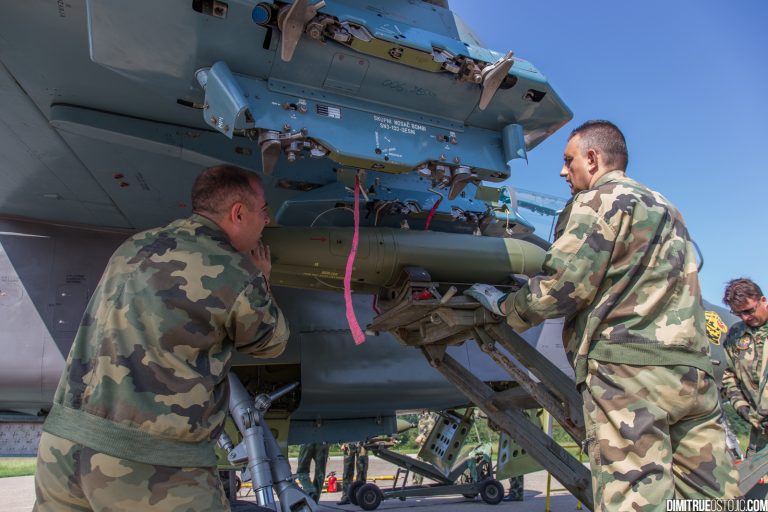 Orlovi sa Morave | Dimitrije Ostojic photo blog