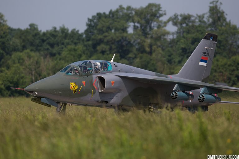 Orlovi sa Morave | Dimitrije Ostojic photo blog